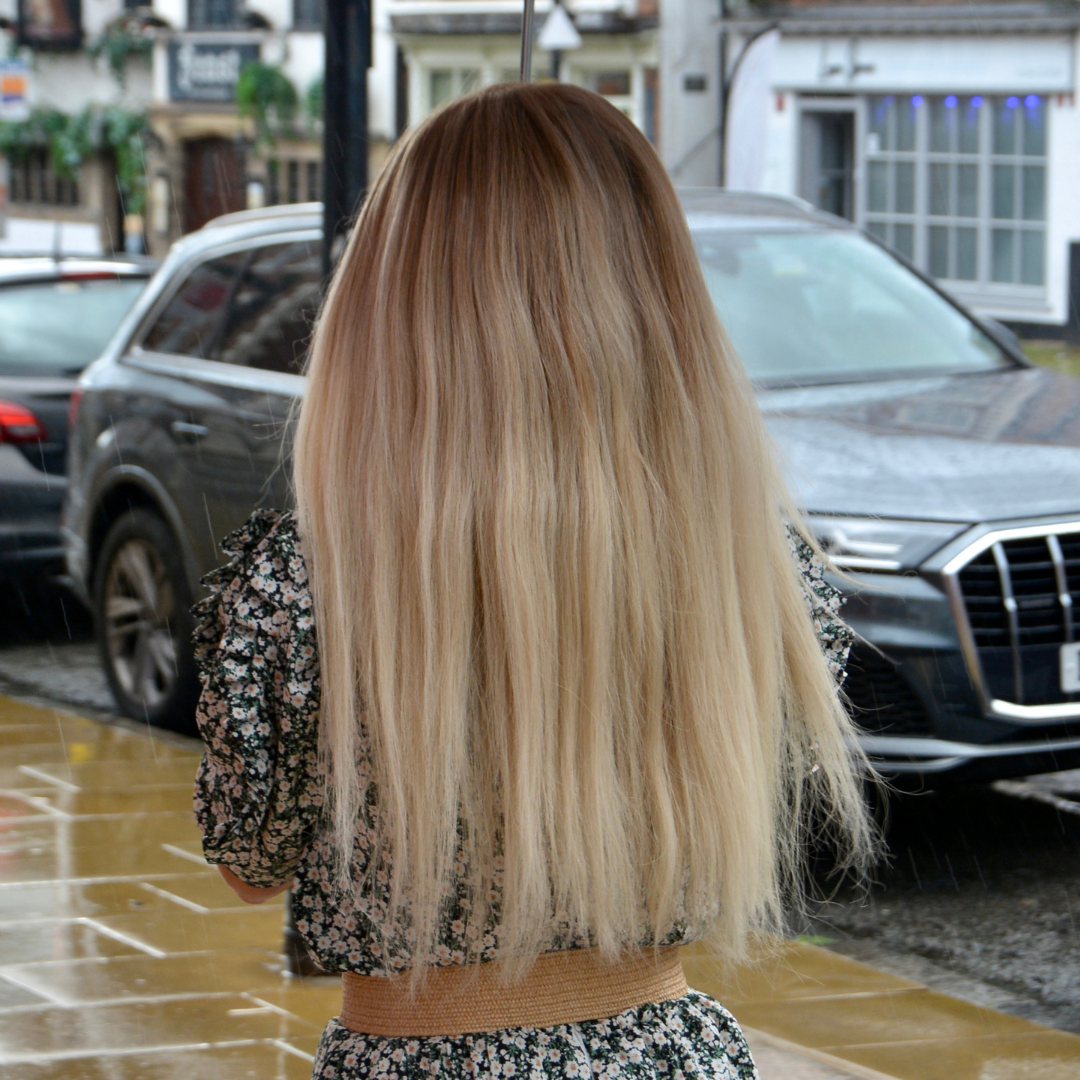 Transgender Wig Guide - Morgan's Wigs